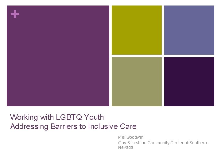 Working with LGBTQ Youth Addressing Barriers to Inclusive