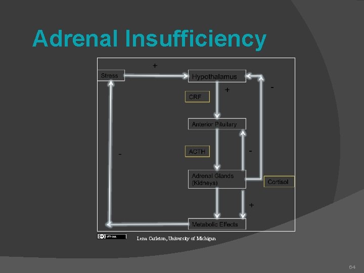 Project Ghana Emergency Medicine Collaborative Document Title NonDiabetic