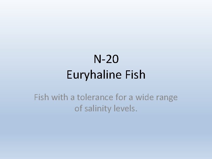 N20 Euryhaline Fish with a tolerance for a