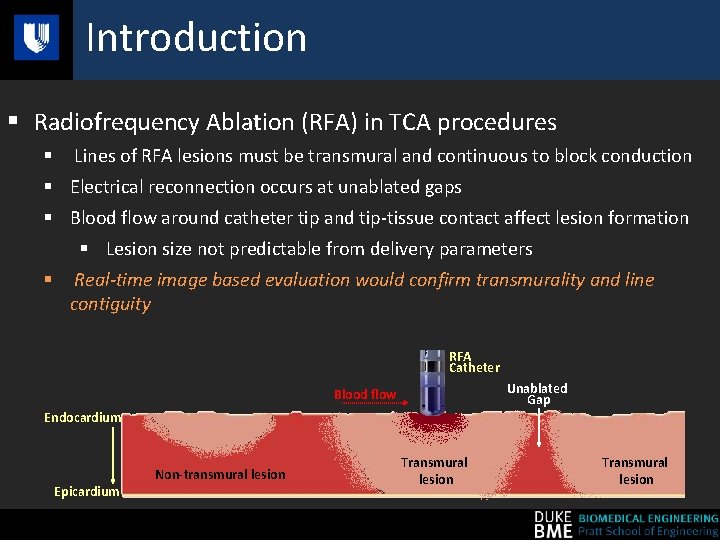 CLINICAL EVALUATION OF AN ULTRASOUND BASED IMAGING SYSTEM
