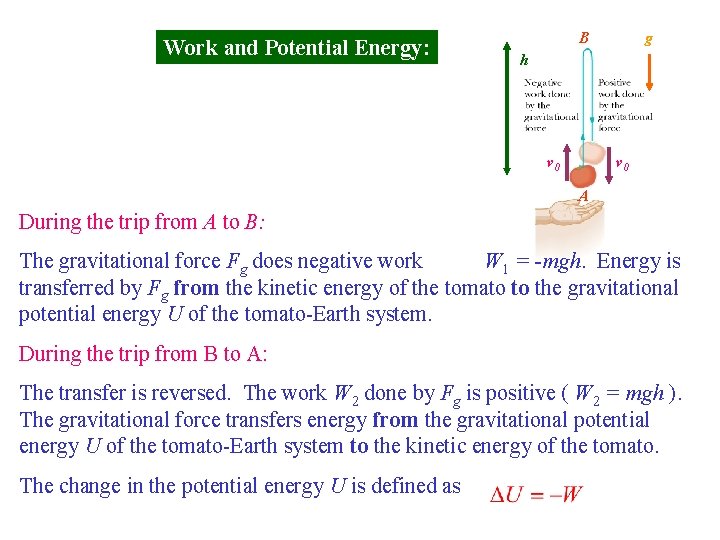 Chapter 8 Potential Energy and Conservation of Energy