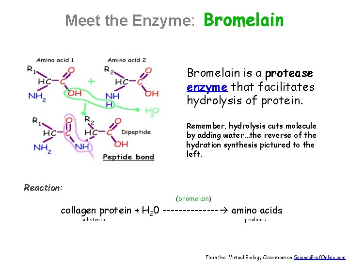 About Science Prof Online Power Point Resources Science