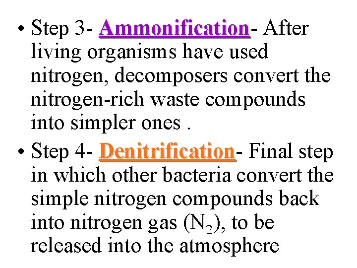 The Biogeochemical Cycles Nitrogen Cycle Biology I Ecology