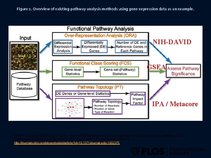 Pathway Informatics ANSUMAN CHATTOPADHYAY PHD ASST DIRECTOR MOLECULAR