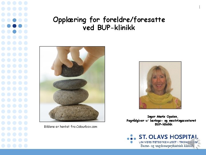 1 Opplring foreldreforesatte ved BUPklinikk Bildene er hentet