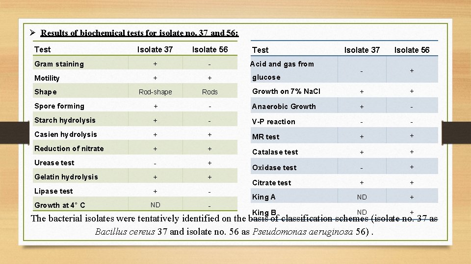 Biosorption of zinc by living and lyophilized biomass