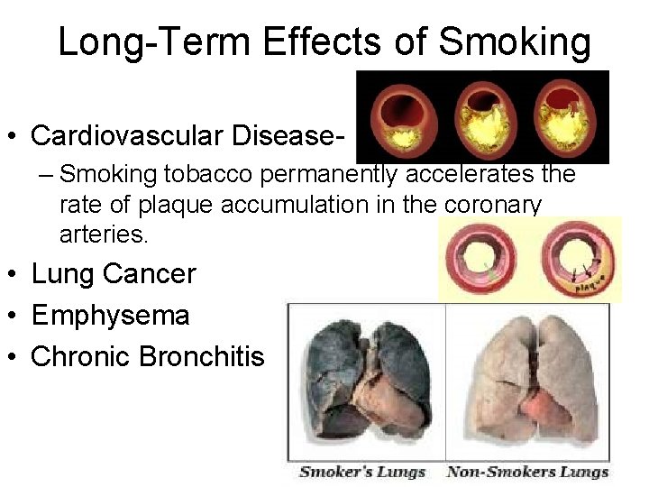 Tobacco Hazardous and Addictive Tobacco Facts Cigarette smoking