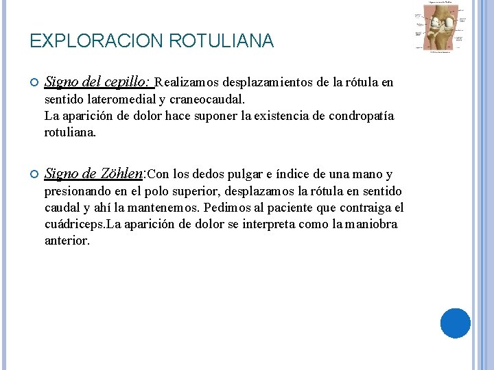 RODILLA EN ATENCIN PRIMARIA Marta Ferrer Royo R