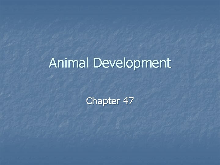 Animal Development Chapter 47 Development n Preformation Idea