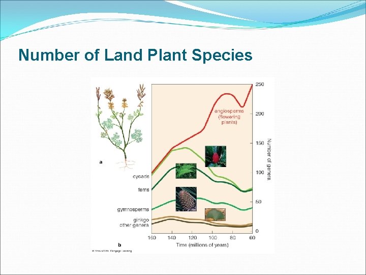 Plants Insects and our Environment and How They