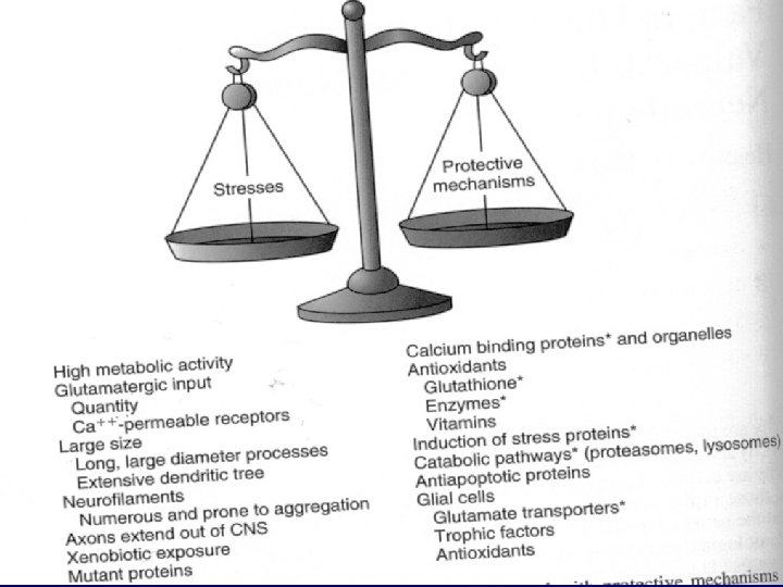 Teorijski i eksperimentalni modeli starenja Goran imi Poslijediplomski