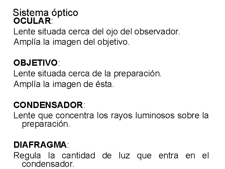 EL MICROSCOPIO La parte mecnica del microscopio Comprende