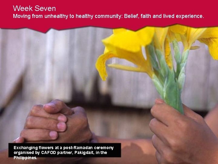 Week Seven Moving from unhealthy to healthy community