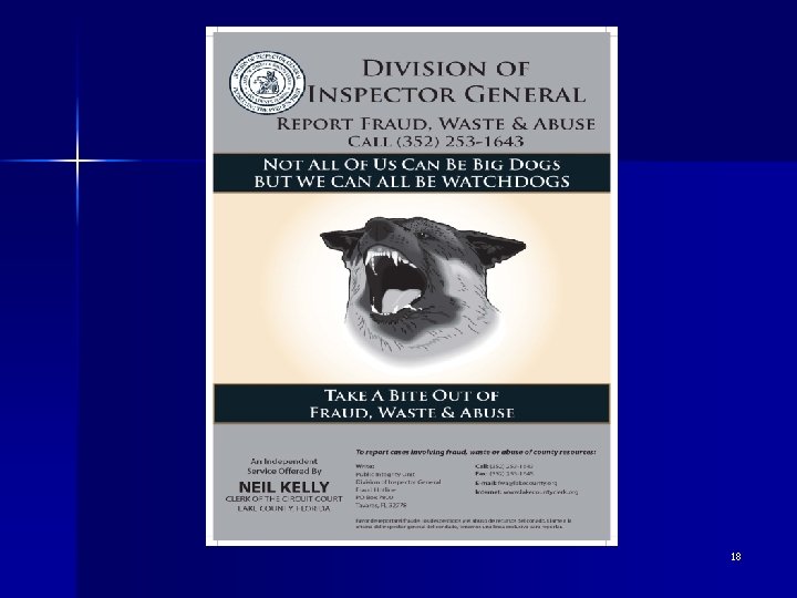 The Role of the Inspector General In Government