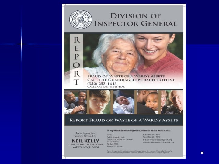 The Role of the Inspector General In Government