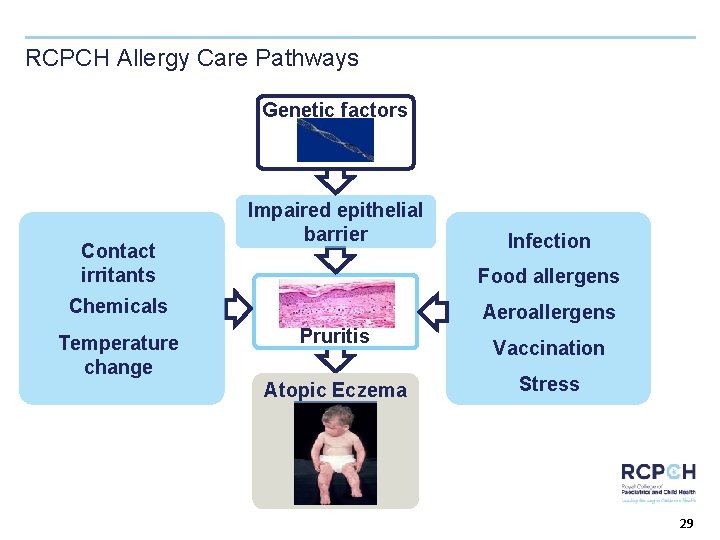 INTRODUCING FOUR RCPCH ALLERGY CARE SAMPLE TITLE PATHWAYS