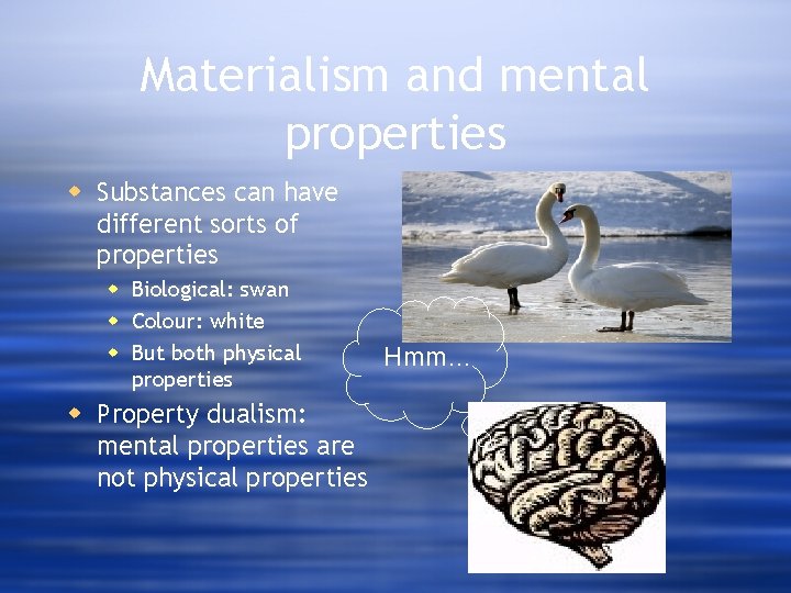 Substance and Property Dualism Michael Lacewing ...