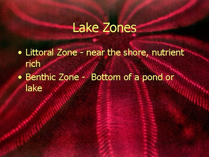 Aquatic Ecosystems Chapter 7 Freshwater Ecosystem Determined by