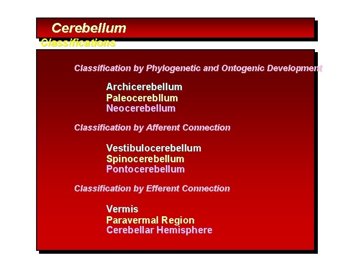 Cerebellum External Configurations located in posterior cranial fossa