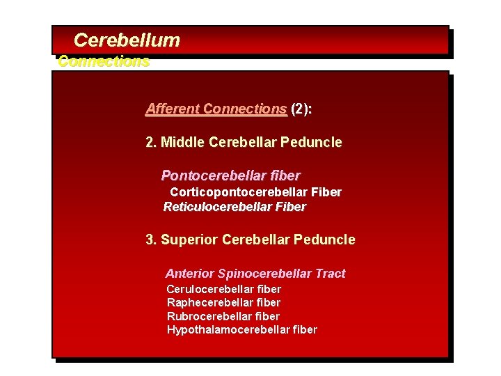 Cerebellum External Configurations located in posterior cranial fossa