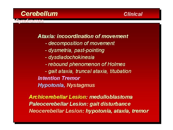 Cerebellum External Configurations located in posterior cranial fossa