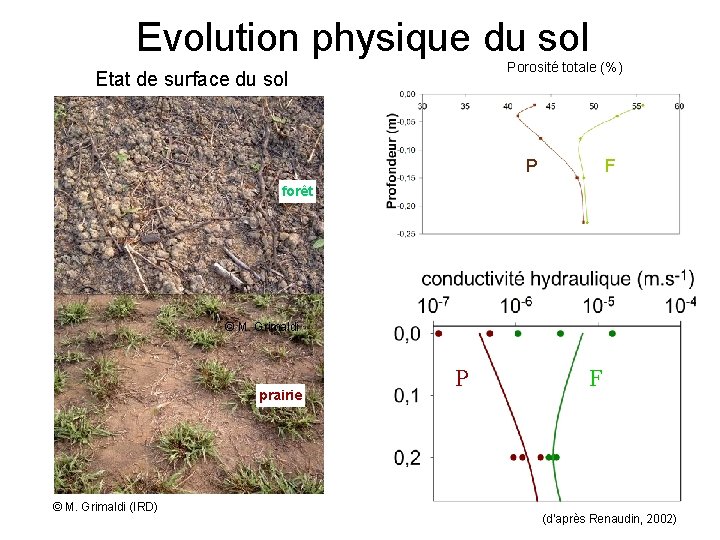 La gestion durable des sols un enjeu plantaire