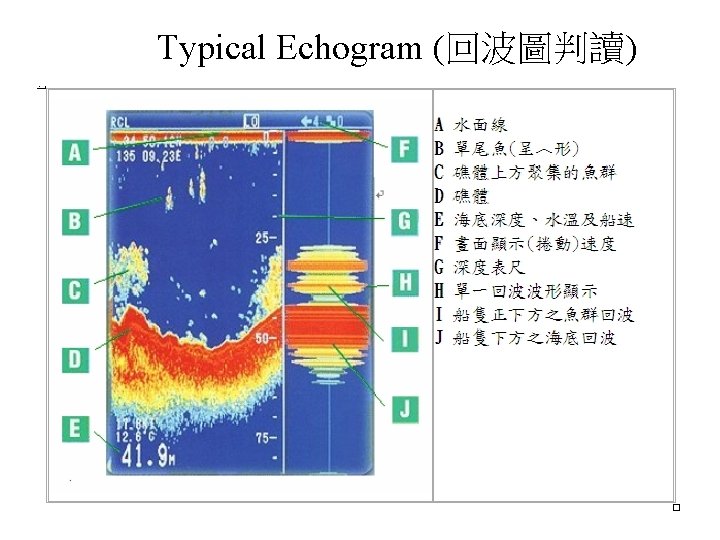 Sonar Sound Navigation and Ranging Echosounder Fishfinder Horizontal