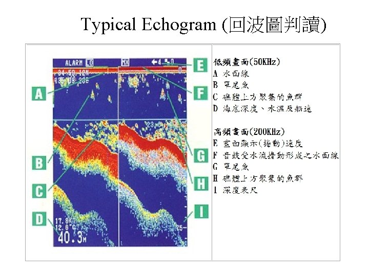 Sonar Sound Navigation and Ranging Echosounder Fishfinder Horizontal