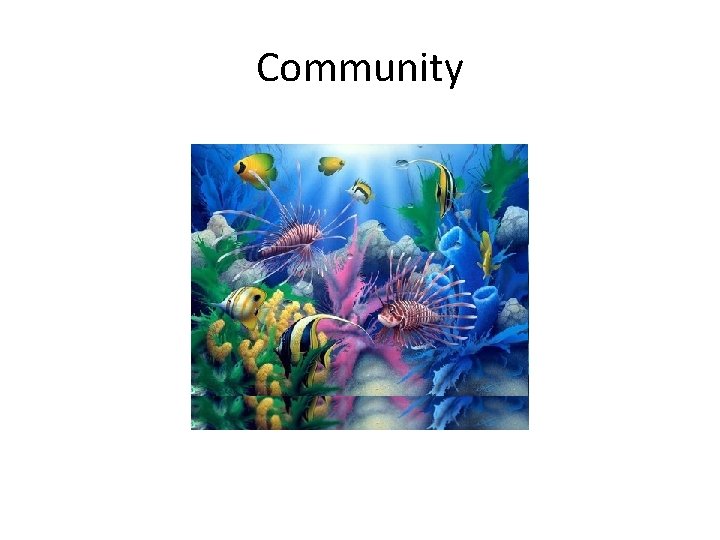 Ecosystems Organisms interacting with one another in their