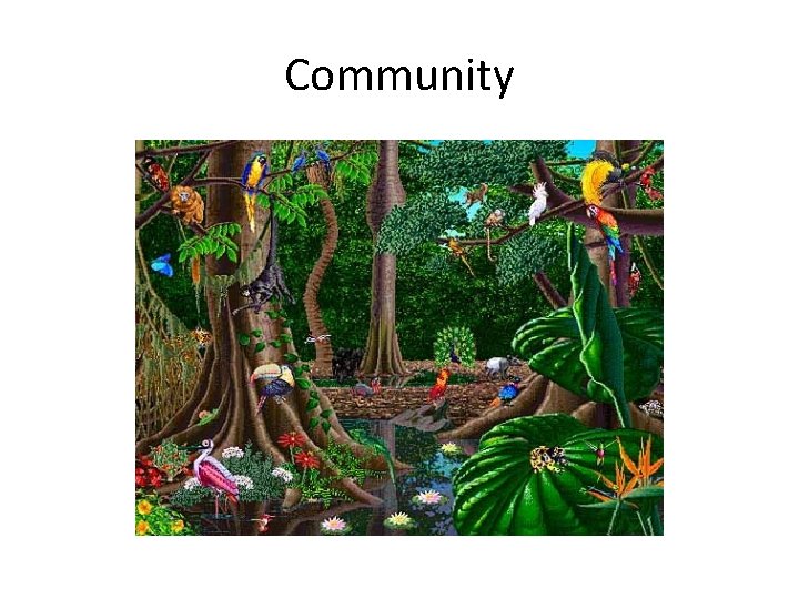 Ecosystems Organisms interacting with one another in their