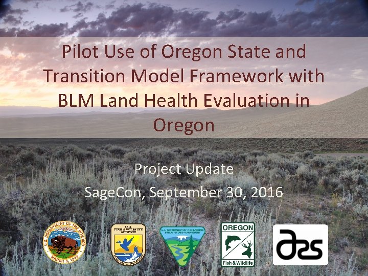 Pilot Use of Oregon State and Transition Model