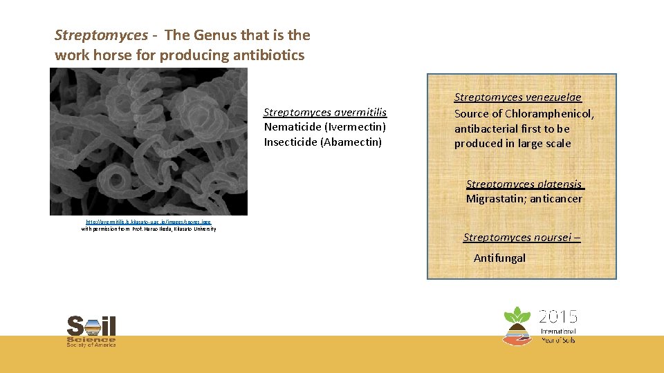 When Soil Won the Nobel Prize in Medicine