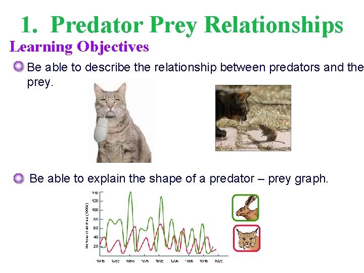 1 Predator Prey Relationships Learning Objectives Be able
