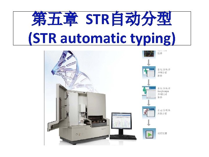 STR STR automatic typing STR Allele PCR product
