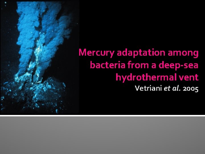 Mercury adaptation among bacteria from a deepsea hydrothermal