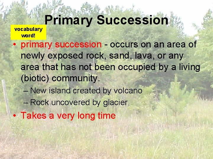 Succession in Ecosystems What caused this What caused