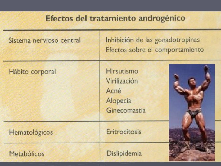 FARMACOLOGIA DE LAS HORMONAS SEXUALES MASCULINAS Contenidos Andrgenos