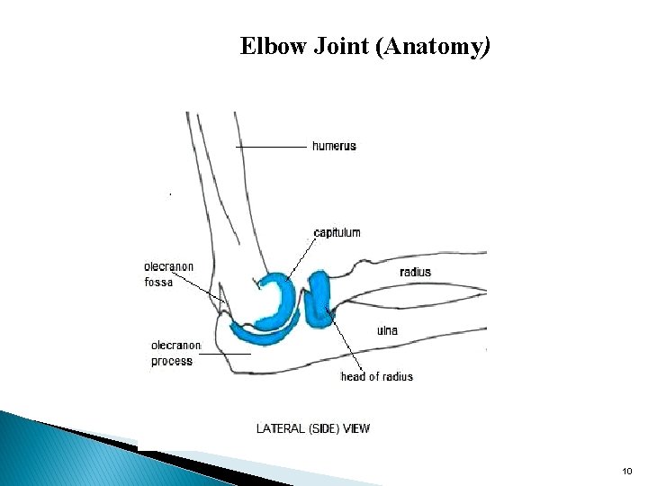 RAD 222 Upper extremity part 2 forearm elbow