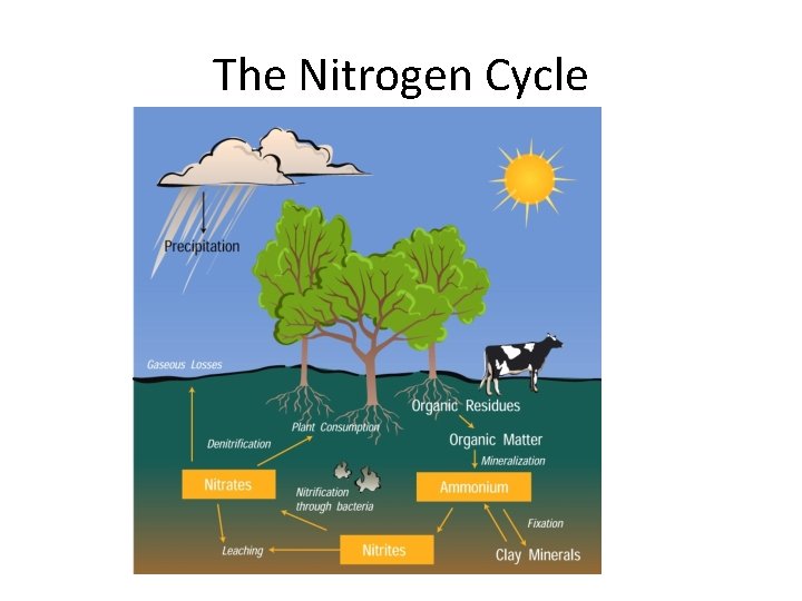 BIOGEOCHEMICAL CYCLES Biosphere Lithosphere Atmosphere Hydrosphere ...