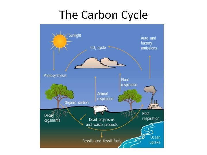 BIOGEOCHEMICAL CYCLES Biosphere Lithosphere Atmosphere Hydrosphere ...