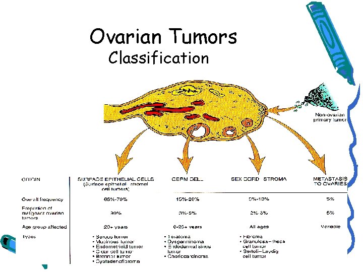 Ovarian Tumors Epidemiology Ranks below only carcinoma of