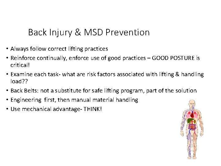 Employee Safety Training Ergonomics and Body Mechanics Awareness