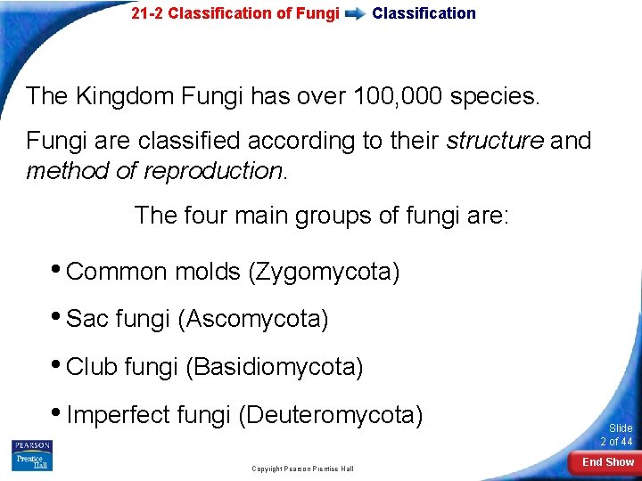 21 2 Classification of Fungi Slide 1 of