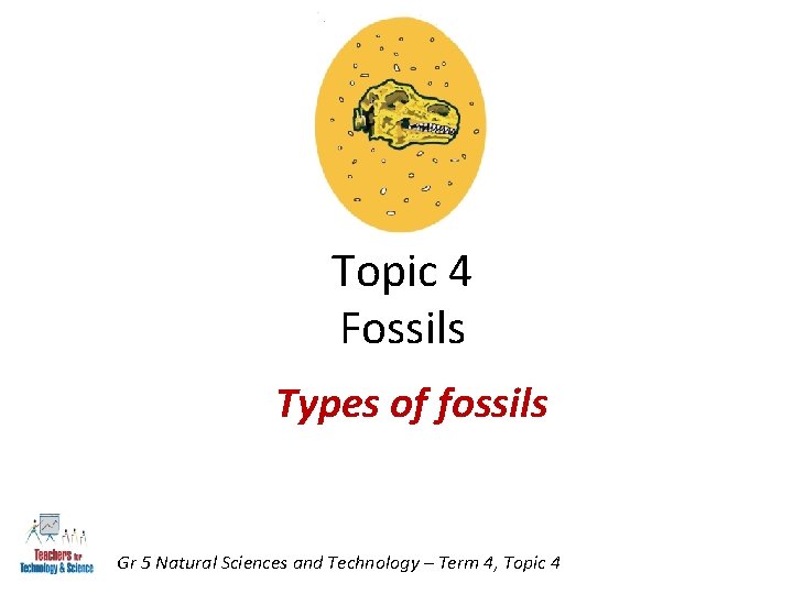 Natural Sciences and Technology Grade 5 Term 4