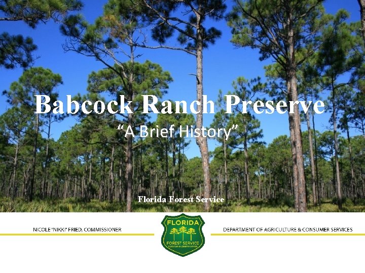 Babcock Ranch Preserve A Brief History Florida Forest