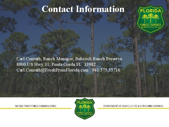 Babcock Ranch Preserve A Brief History Florida Forest