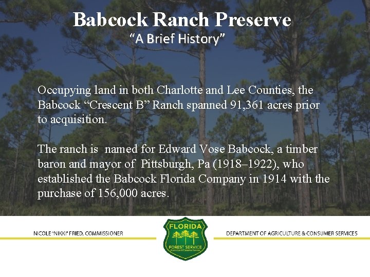 Babcock Ranch Preserve A Brief History Florida Forest