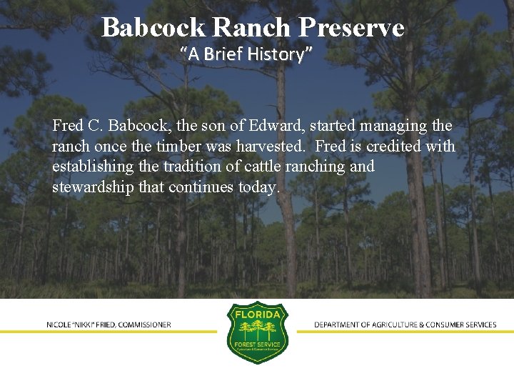 Babcock Ranch Preserve A Brief History Florida Forest