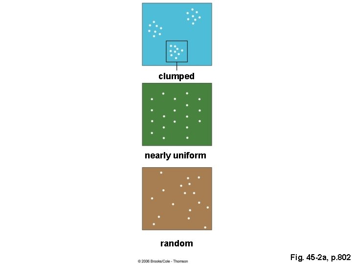Chapter 45 Population Ecology Population Ecology Certain ecological