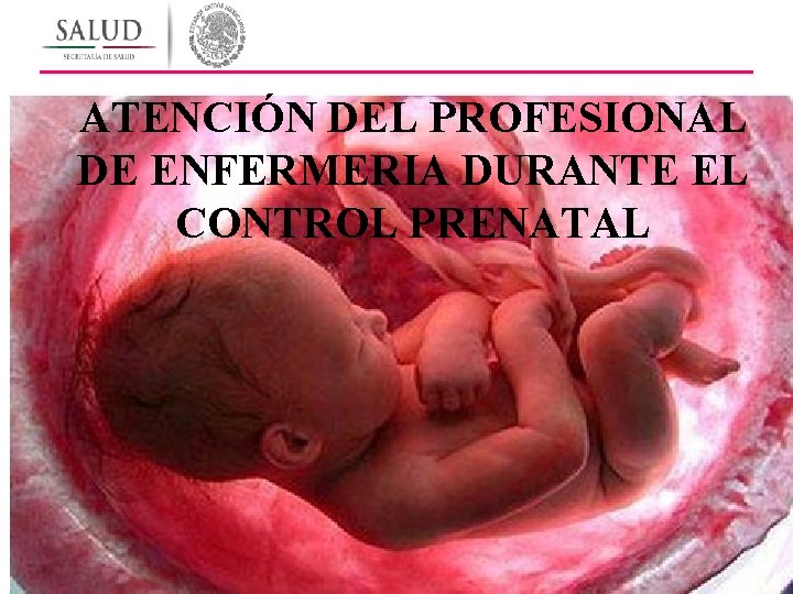 INTERVENCIONES DEL PROFESIONAL DE ENFERMERA DURANTE EL EMBARAZO